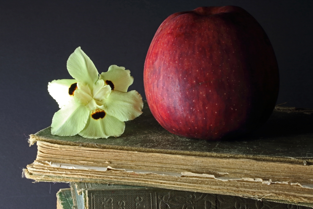 Bonnie Reads and Writes – Book Reviews, Writing, Thoughts, and Photos ...