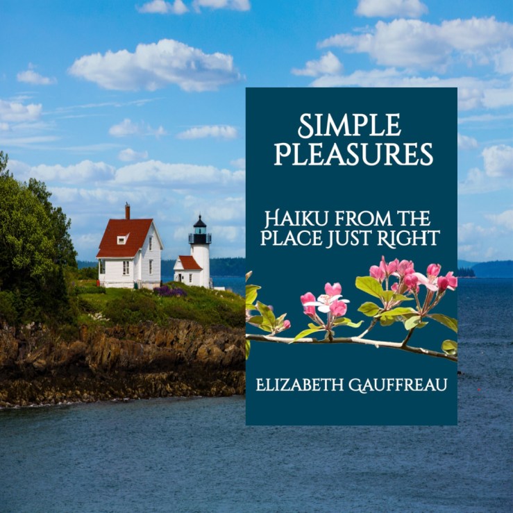 Book Review, Excerpt, and Q&A: Simple Pleasures by Elizabeth Gauffreau ...