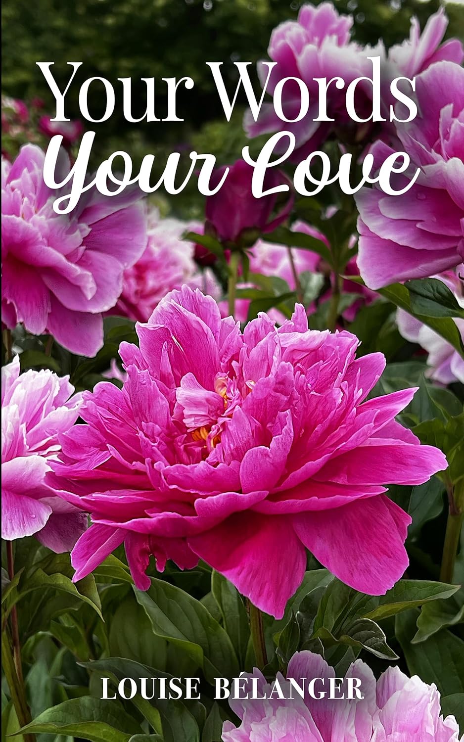 Sneak Peek: Excerpt from Your Words,Your Love by Louise Bélanger ...
